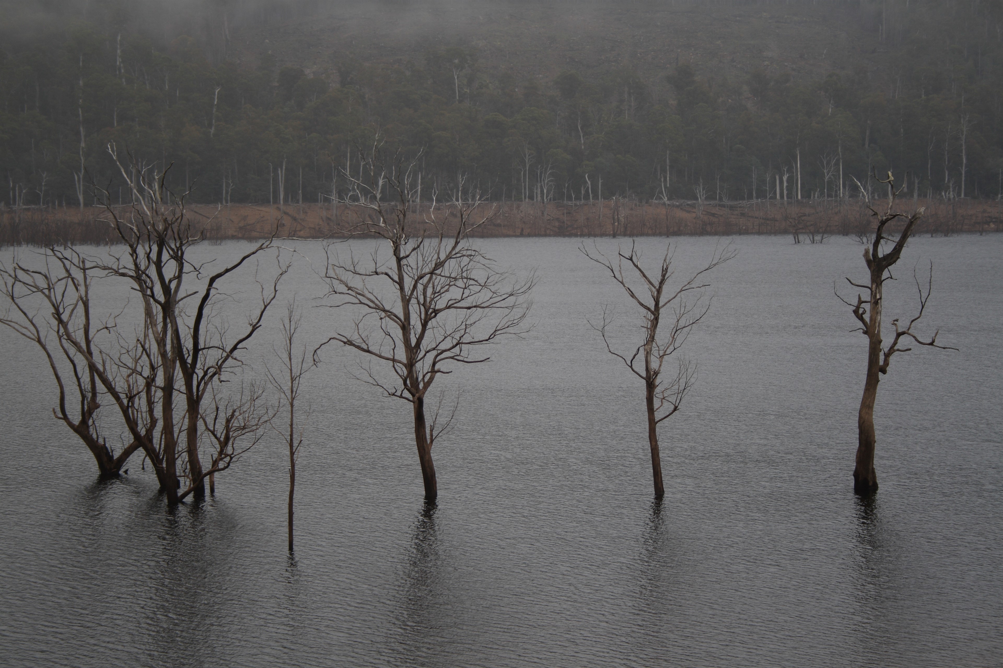 Locations Hub - Lake Parangana