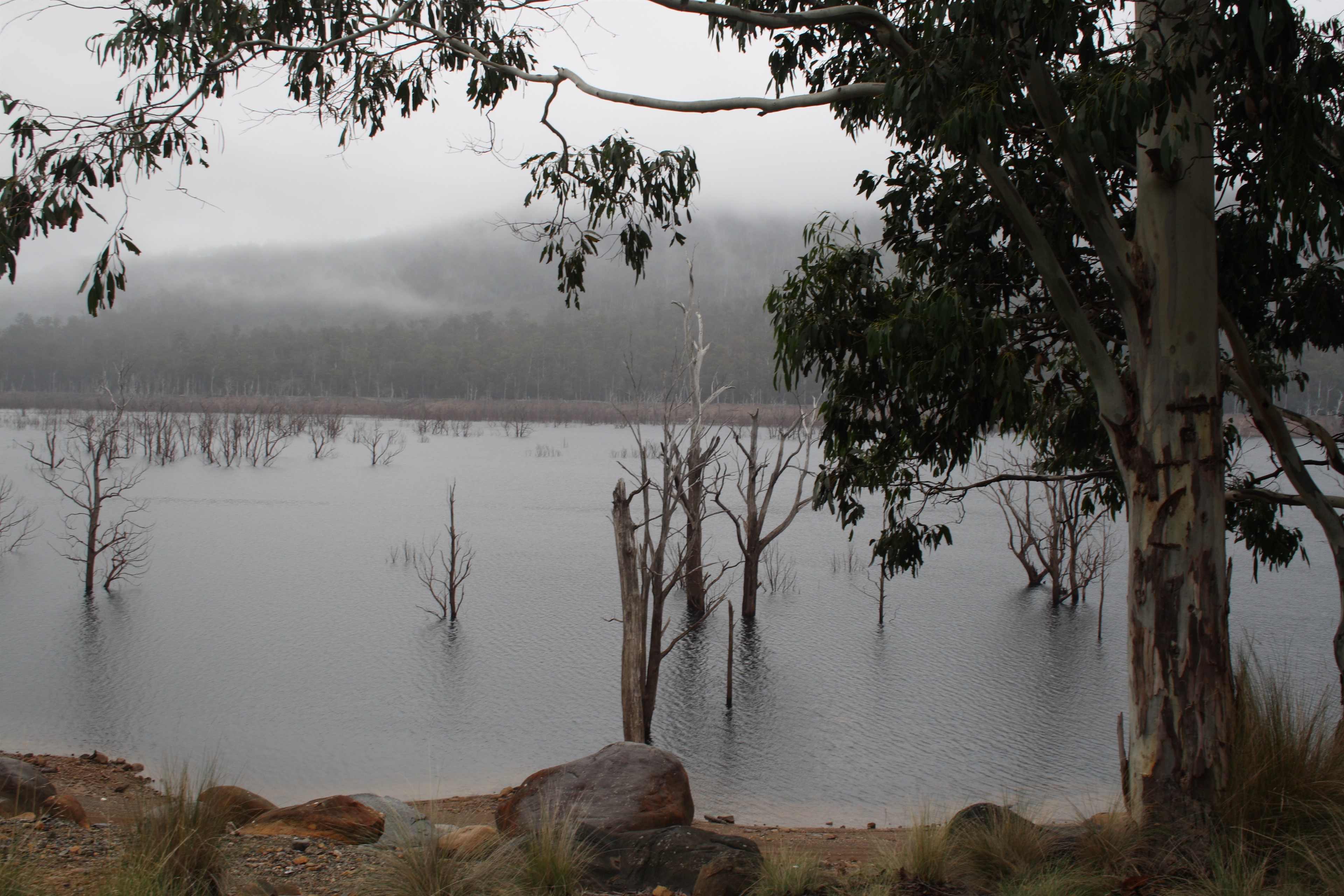 Locations Hub - Lake Parangana